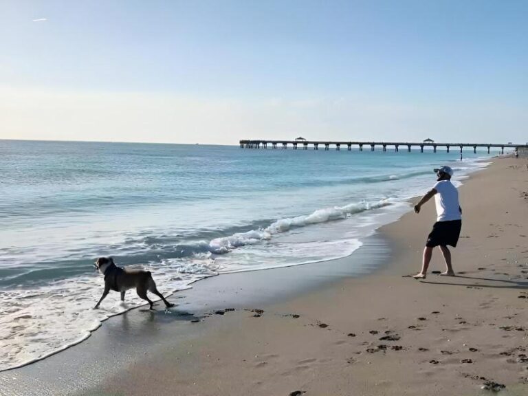 Jupiter Dog Beach Rules & Off-Leash Hours, Florida 2026