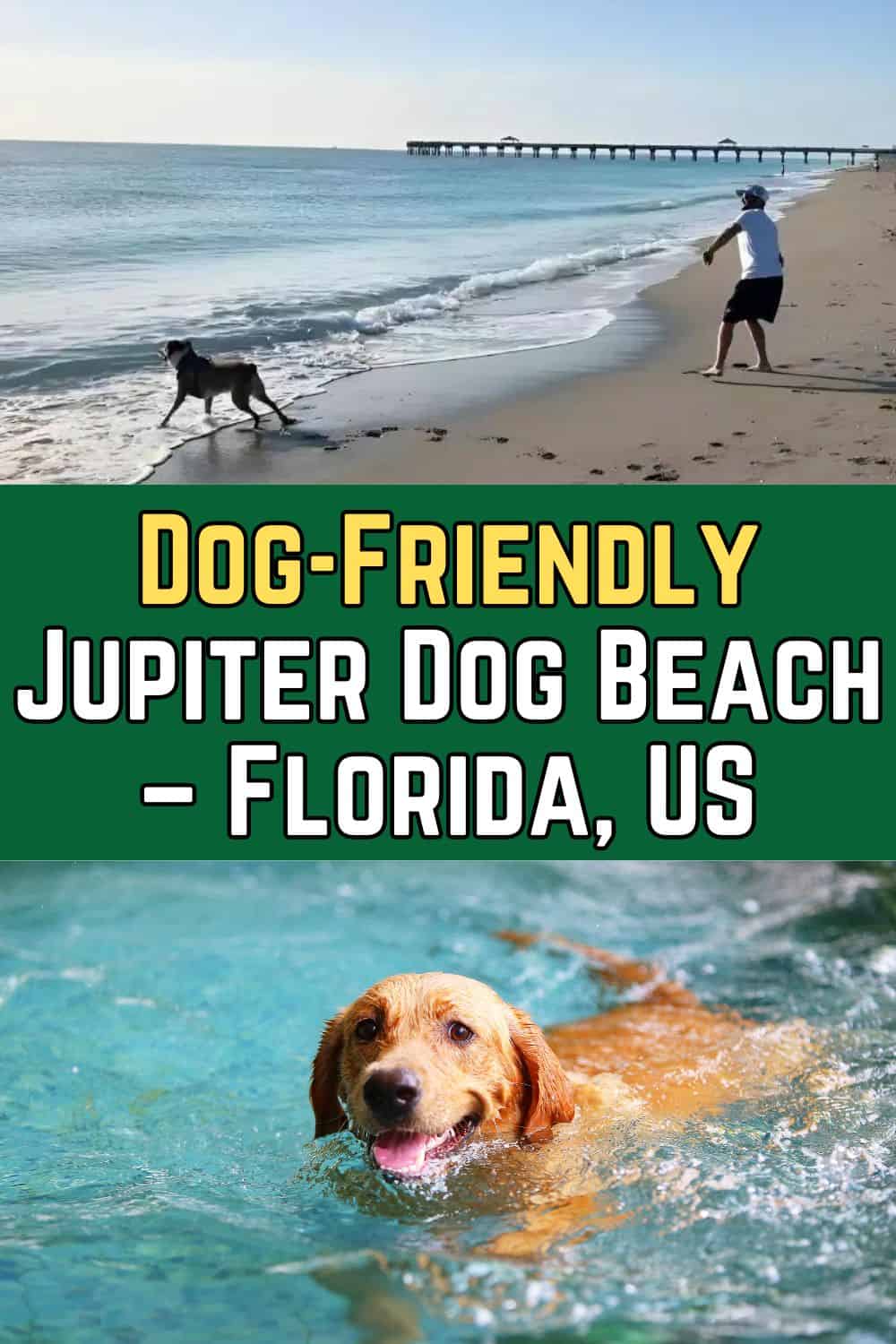 Jupiter Dog Beach Rules & Off-Leash Hours, Florida 2026