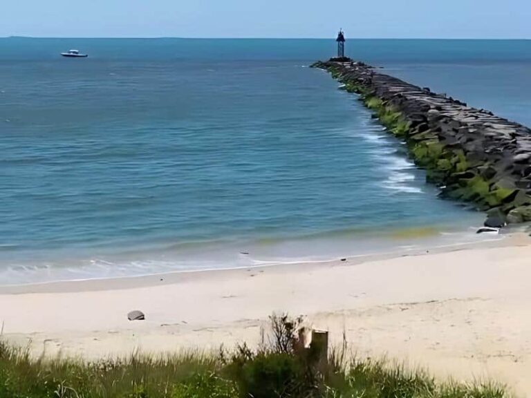 Top 36 Dog Friendly Beaches In New Jersey 2026