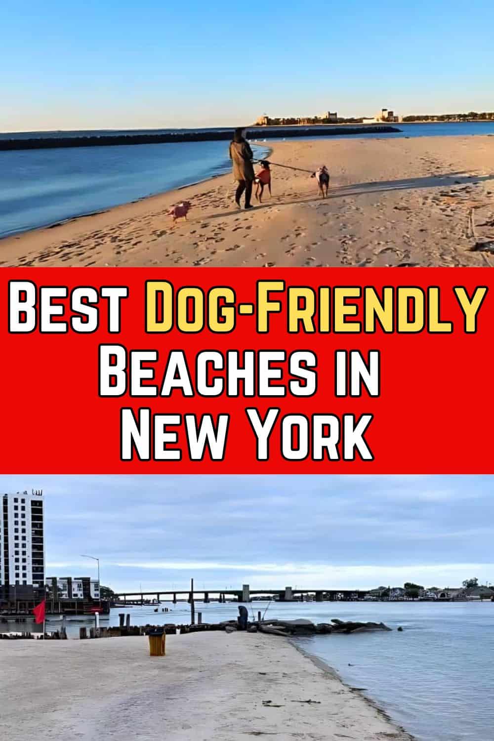 15 Best Dog Friendly Beaches In New York 2026