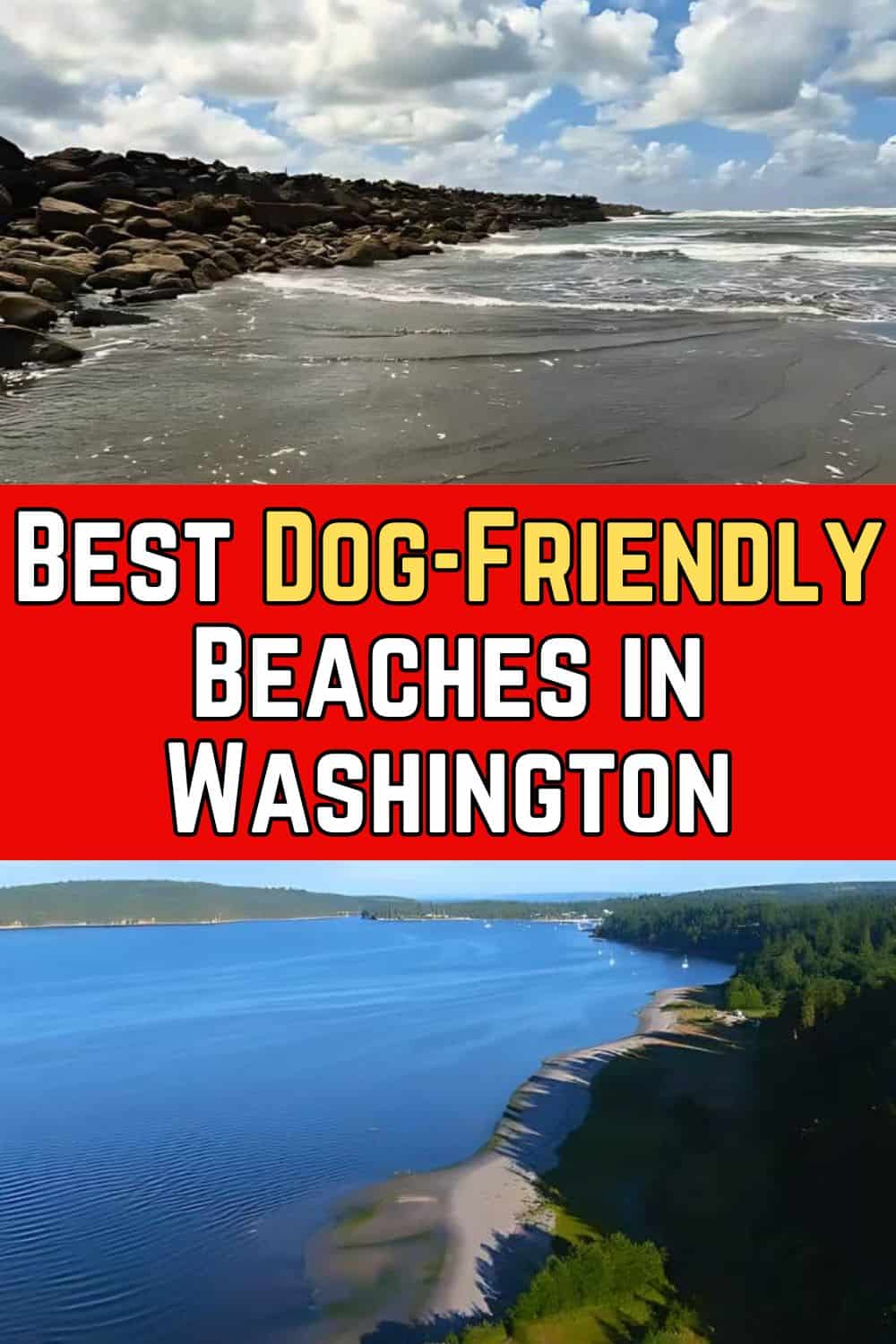 Top 27 Dog-Friendly Beaches In Washington State 2026