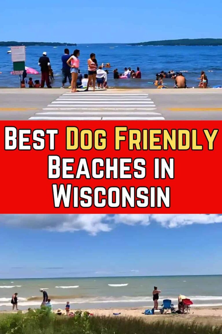 10 Best Dog-Friendly Beaches In Wisconsin 2026