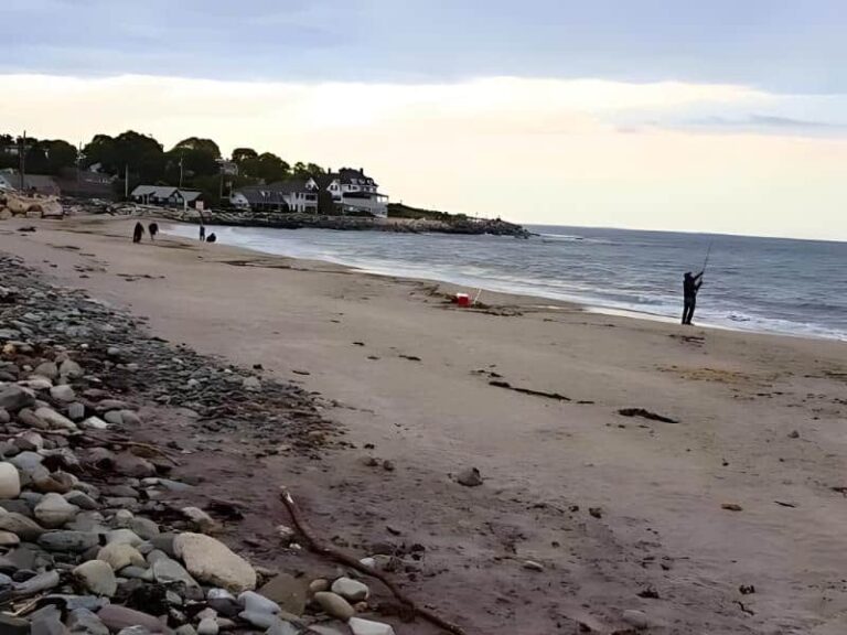 6 Best Dog-friendly Beaches In New Hampshire 2026