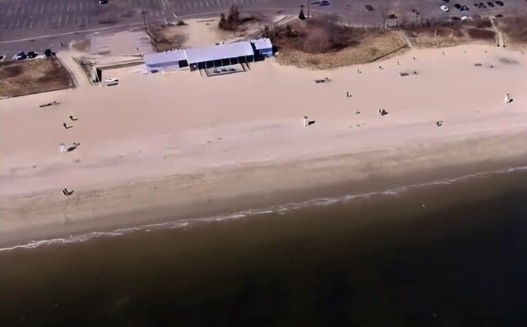 13 Best Dog-Friendly Beaches In Connecticut 2026