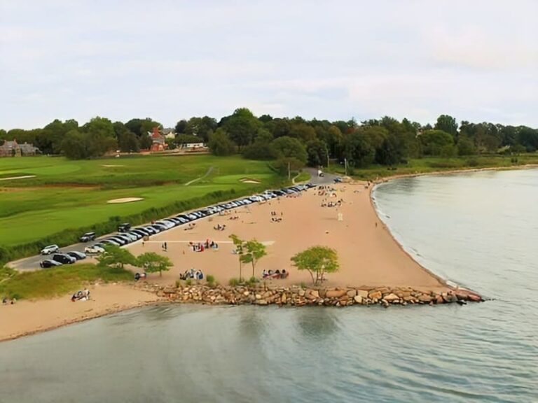 13 Best Dog-Friendly Beaches In Connecticut 2026