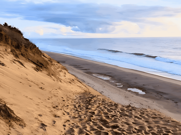 Top 29 Dog-Friendly Beaches In Massachusetts 2026
