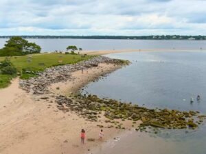 15 Best Dog-Friendly Beaches In Rhode Island 2026